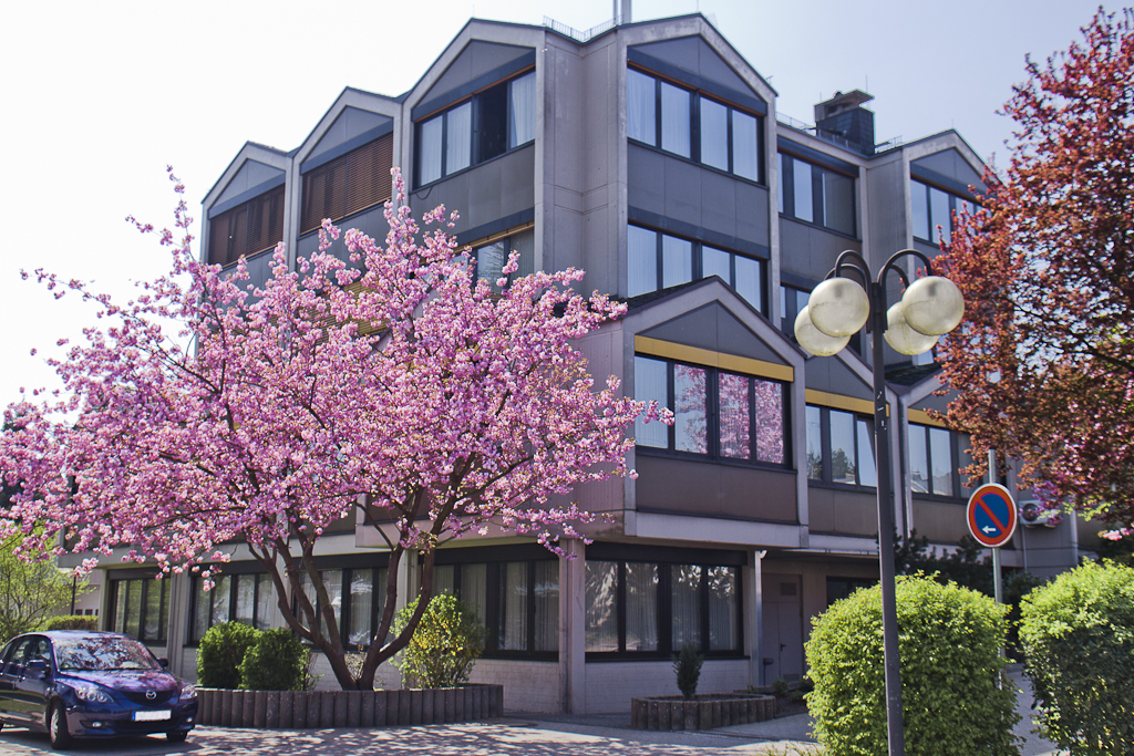 Über die Verbandsgemeinde Dierdorf – greenITown